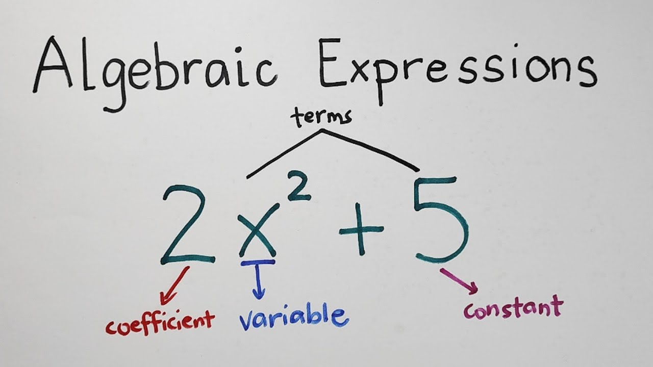 Lesson 1-5 Algebraic Expression Review 7th Grade Flashcard | Quizizz