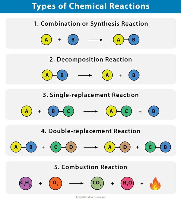 Reaction Types Flashcard 11th Grade Flashcard | Wayground