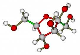 Fall Semester 2024 Final Review 9th - 12th Grade Flashcard | Wayground