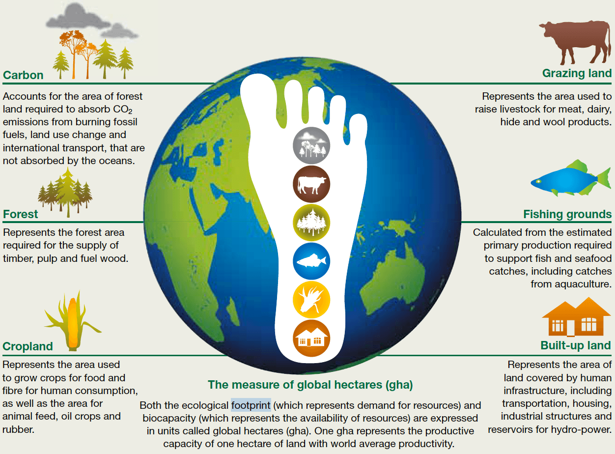 Sustainability Poll 9th Grade Flashcard | Quizizz