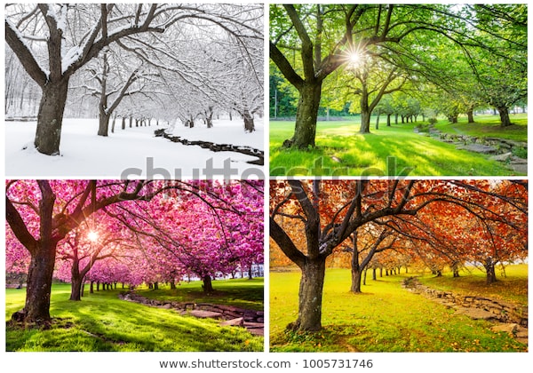 Homework Seasons and Earth's Rotation 6th Grade Flashcard | Quizizz