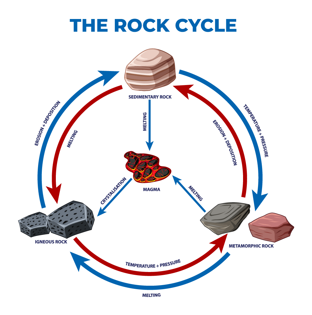 Types and Characteristics of Sedimentary Rocks 9th - 12th Grade ...