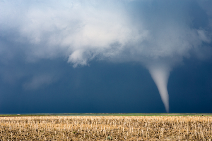 Tornadoes Assignment 10th Grade Flashcard | Wayground (formerly Quizizz)