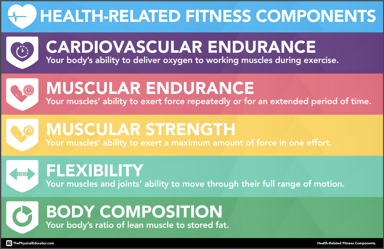 Assessment FITT Principle and Training Principles 12th Grade Flashcard ...