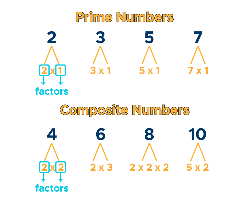 Prime Numbers and Factors Flashcards