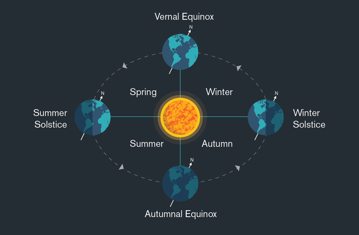 Earth's Revolution and Seasons 6th Grade Quiz | Wayground