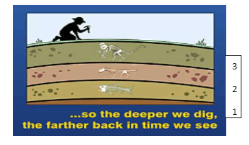 Fossil Formation and Types 3rd Grade Flashcard | Quizizz
