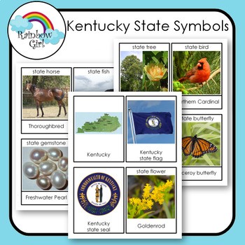 Kentucky State Symbols and Facts Flashcards