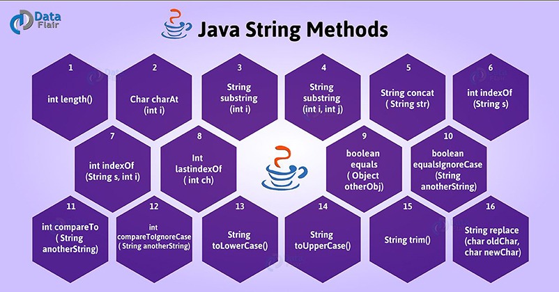 Java String Objects & Methods 12th Grade Flashcard | Wayground