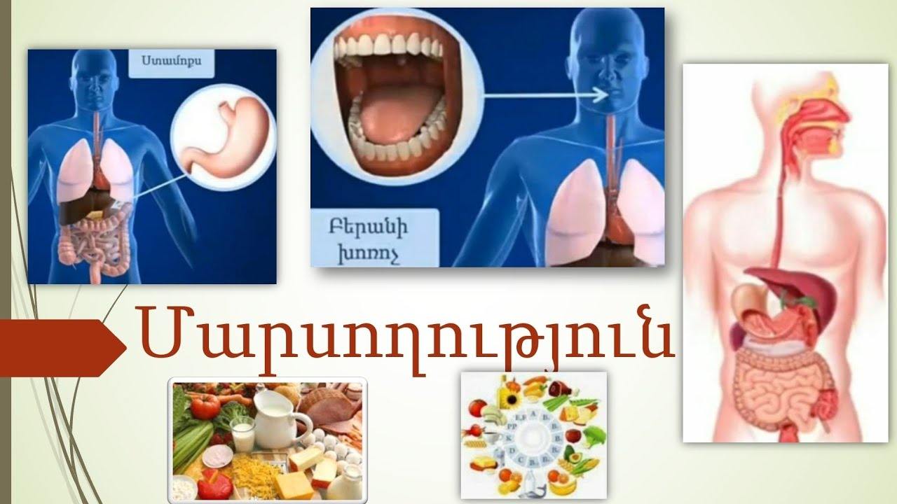 present perfect past simple 5th Grade Quiz | Quizizz