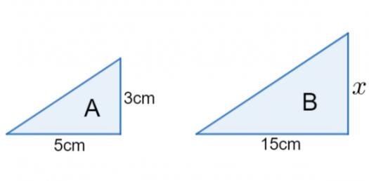 Properties of Similar Figures Test 9th - 12th Grade Flashcard | Quizizz