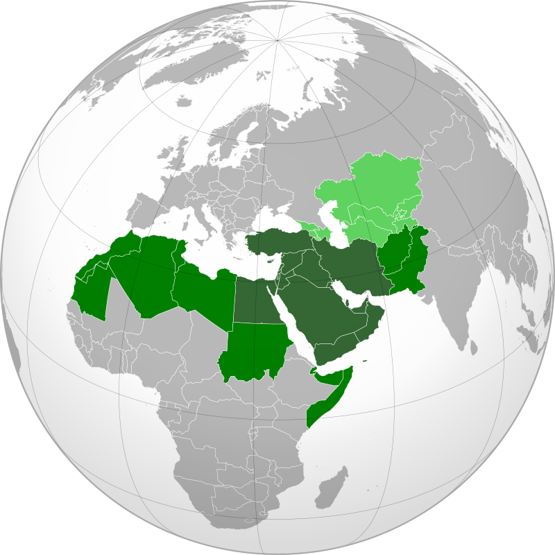 Southwest Asia and North Africa Review Flashcards