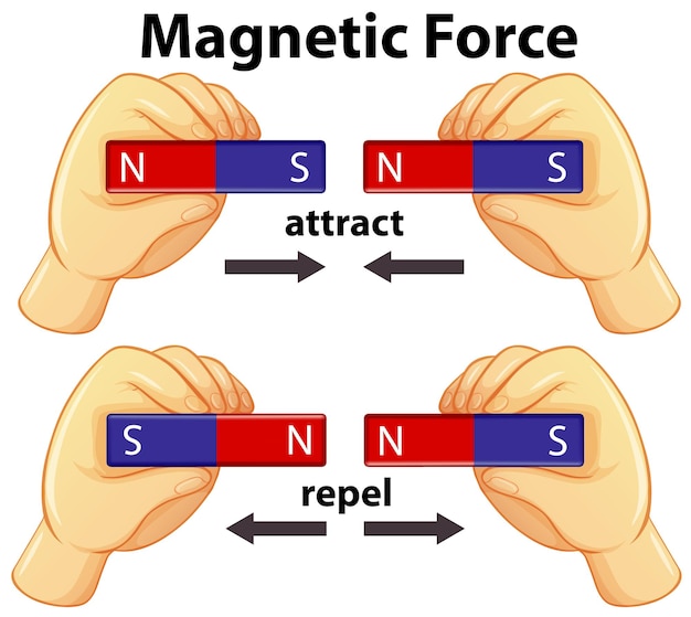 Magnetic Forces Quiz 8th Grade Quiz | Quizizz