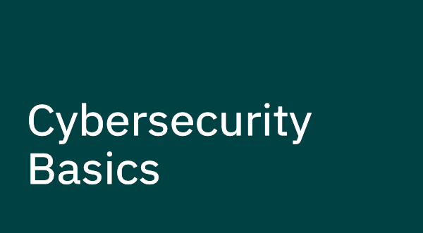 Understanding Cyber Security Basics 9th - 12th Grade Flashcard | Wayground