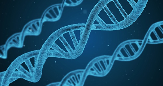 Probability and Genetics Concepts 9th - 12th Grade Flashcard | Quizizz