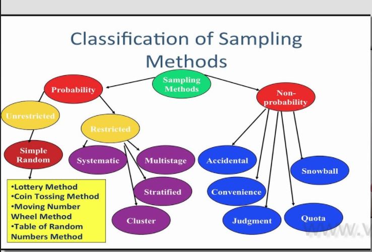 Sampling Methods in Surveys 7th Grade Flashcard | Quizizz