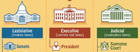 Understanding Government Branches and Powers Flashcards