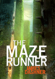 The Maze Runner Flashcard: Chapters 1-25 Flashcard