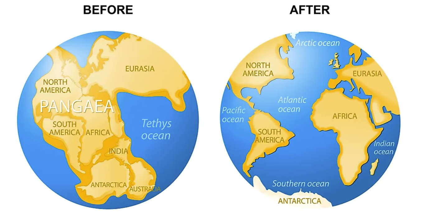 ESS2.A Quiz 11th Grade Quiz | Wayground