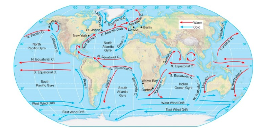 Earth's Water L1-L4 7th Grade Flashcard | Wayground
