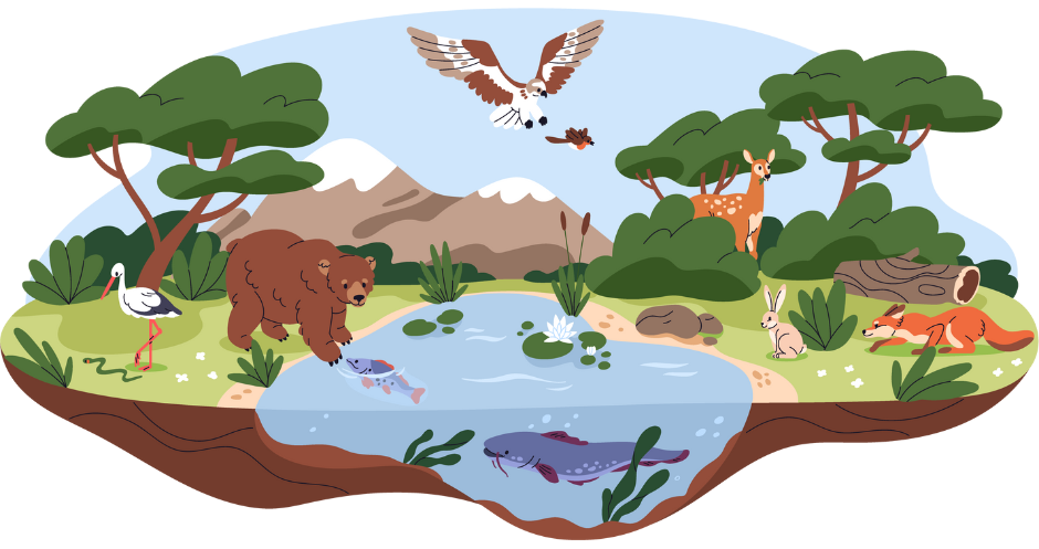 Ecosystems Vocabulary Quiz