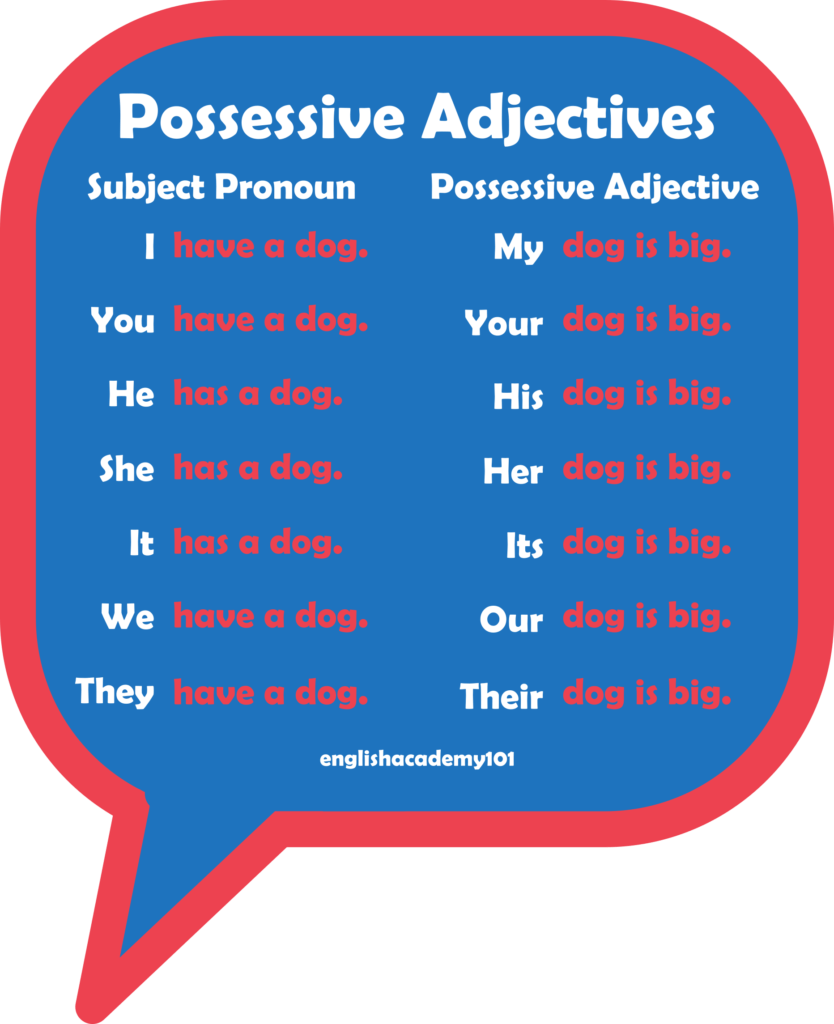 Possessive Adjectives Quiz Quiz