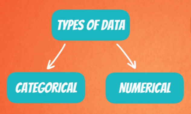 Data Types: Categorical vs Numerical 5th Grade Flashcard | Wayground