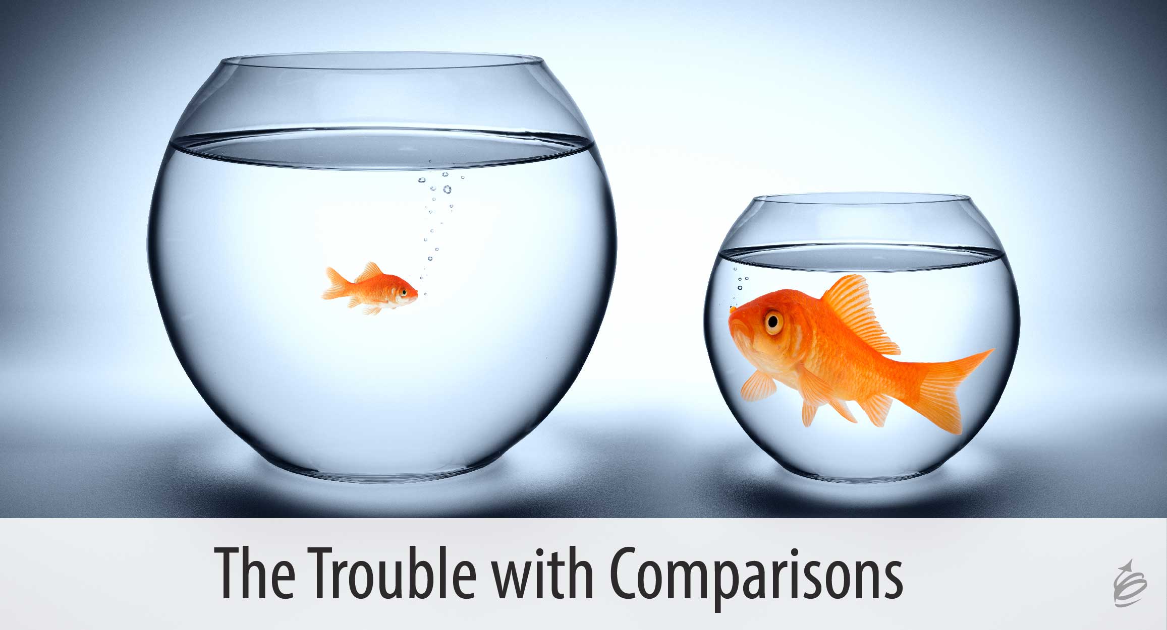 Rhetorical Devices Practice: Analogy and Juxtaposition #2 8th Grade ...