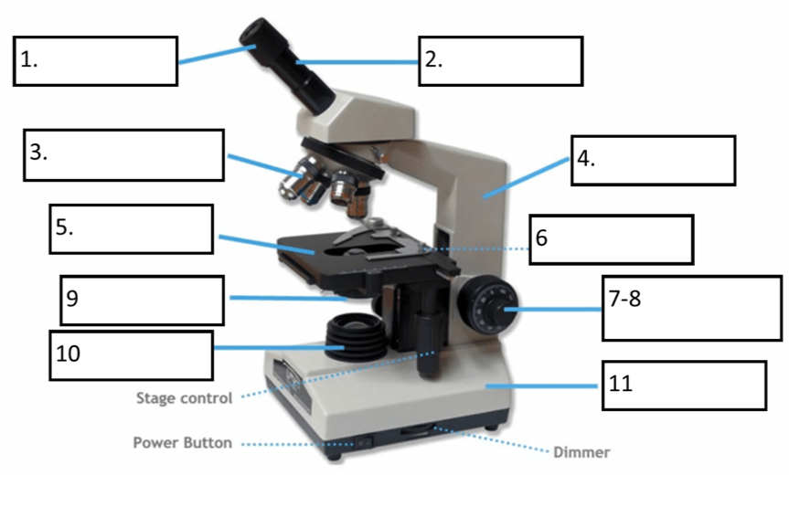 Microscope Parts and Functions 6th - 8th Grade Flashcard | Quizizz
