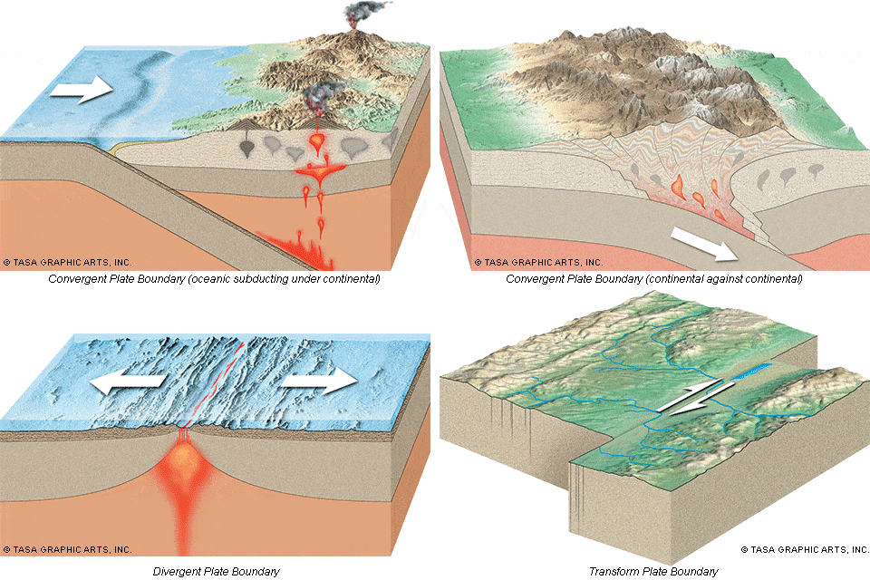 Earthquakes and Earth's Interior CSU University Flashcard | Wayground