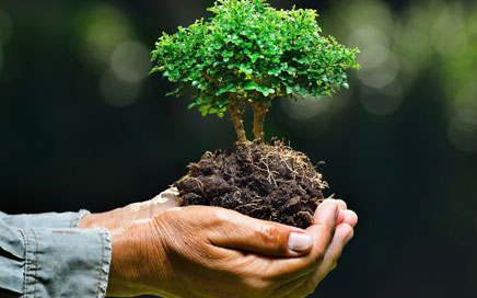 2nd Nine weeks test 7th Grade Flashcard | Quizizz