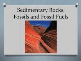 Sedimentary Rocks and Fossil Fuels Quiz 5th Grade Quiz | Quizizz
