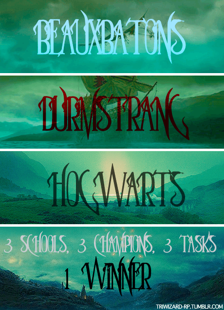 Harry Potter and the Goblet of Fire Ch. 20-25 Flashcard 9th - 12th ...