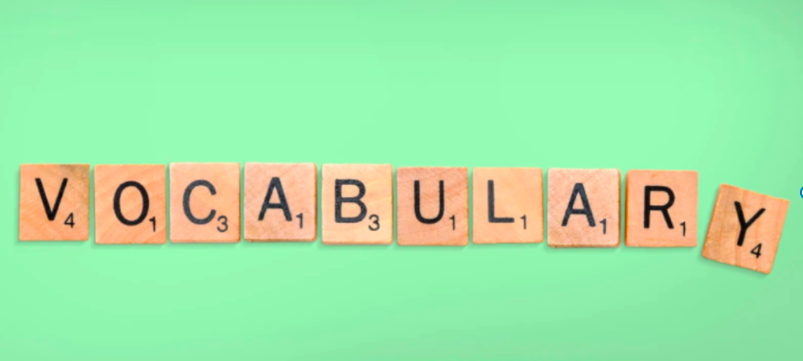 Candy Flocabulary 3rd Grade Quiz | Wayground