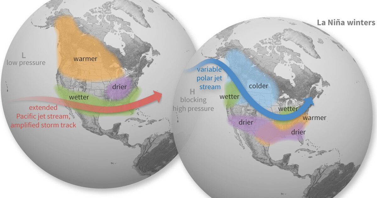 ENSO CHeck 11th Grade Flashcard | Wayground (formerly Quizizz)