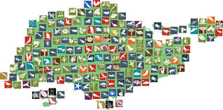 Biodiversity Review Flashcards