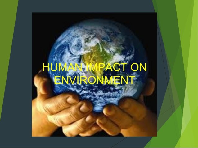 Human Impact Review Flashcards