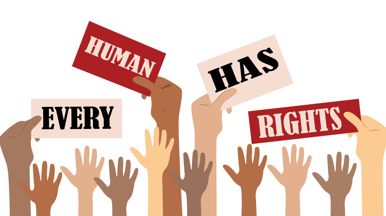 Universal Declaration of Human Rights Flashcard Flashcards