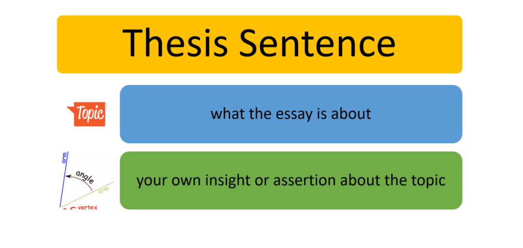 Understanding Thesis Statements and Proficiency 7th Grade Quiz | Wayground