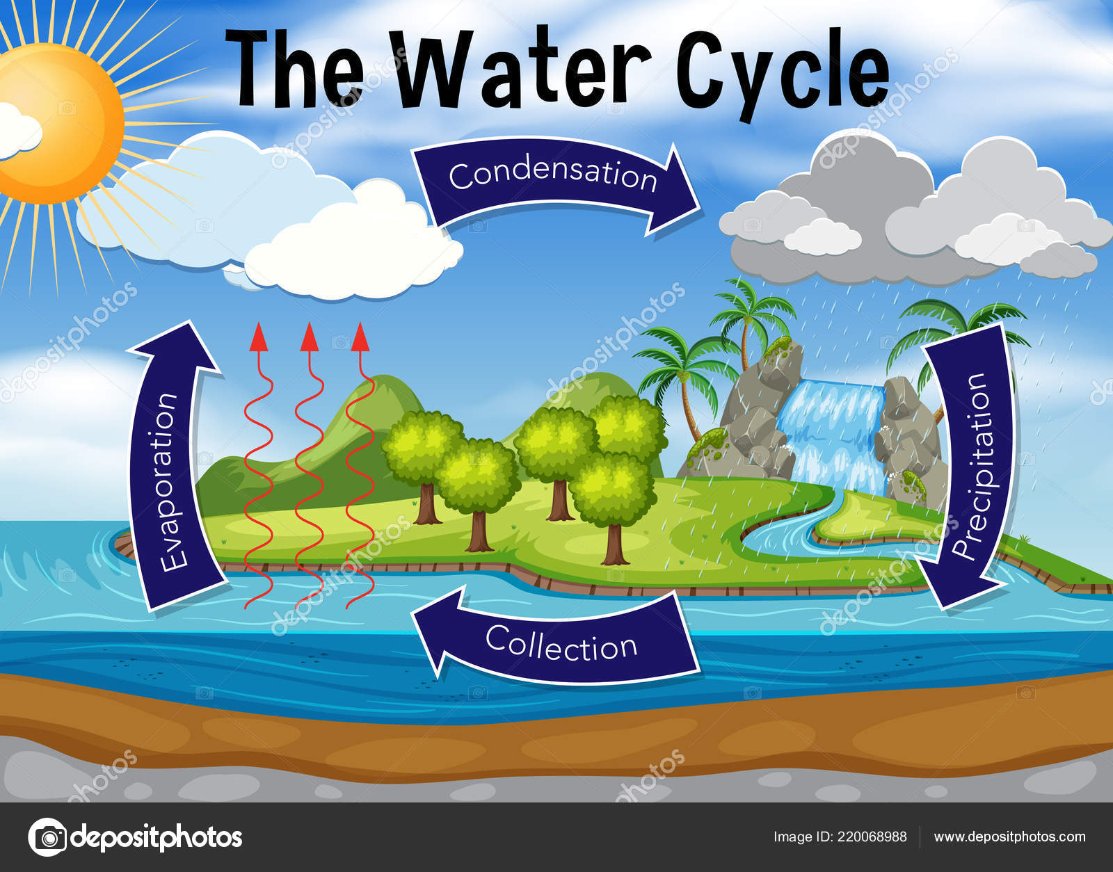 1/23:Water Cycle Scenarios 5th Grade Quiz | Quizizz