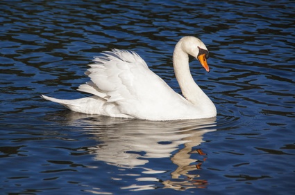 The Third Wish Pt. 2 8th Grade Quiz | Wayground