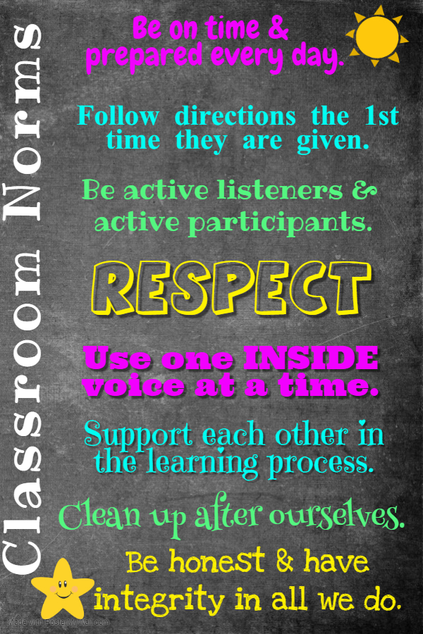 Class norms and expectations 10th Grade Flashcard | Wayground