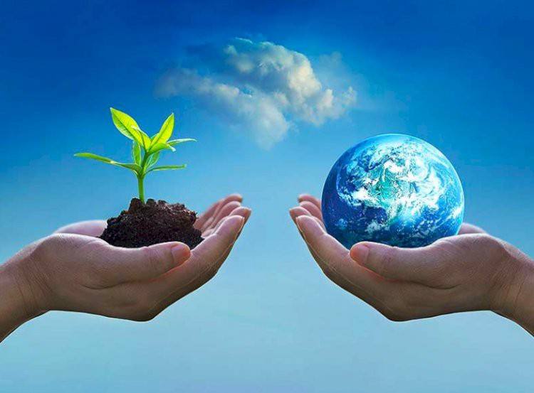 B-LS2-7 Reducing Human Impact on Biodiversity 10th Grade Flashcard ...