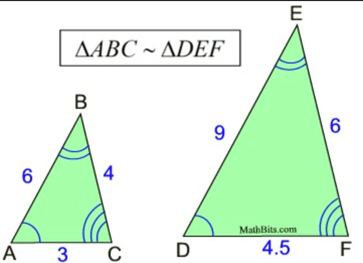 2.8 Proportions and Similarity 9th Grade Quiz | Quizizz