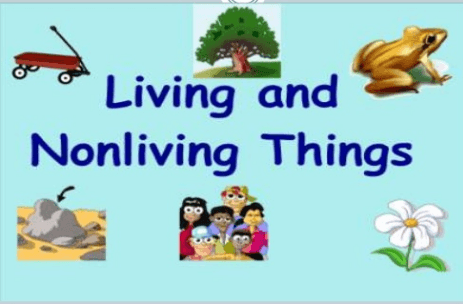 Living and non-living things 1st Grade Quiz | Wayground