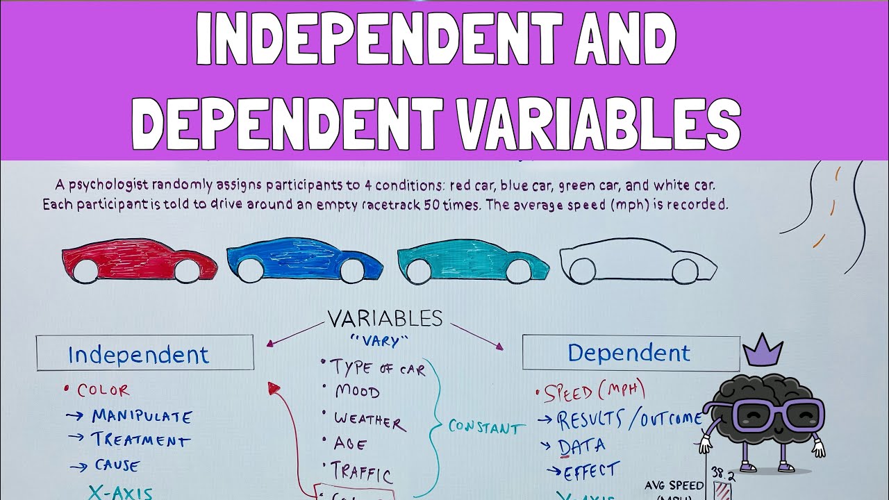 Scientific Method Assessment Flashcards