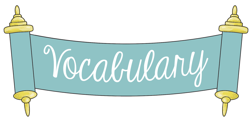 Vocabulary 11 Flashcards