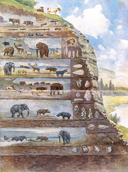 Amplify Science Plate Motion Vocabulary & Chapters 1 & 2 Review Flashcard