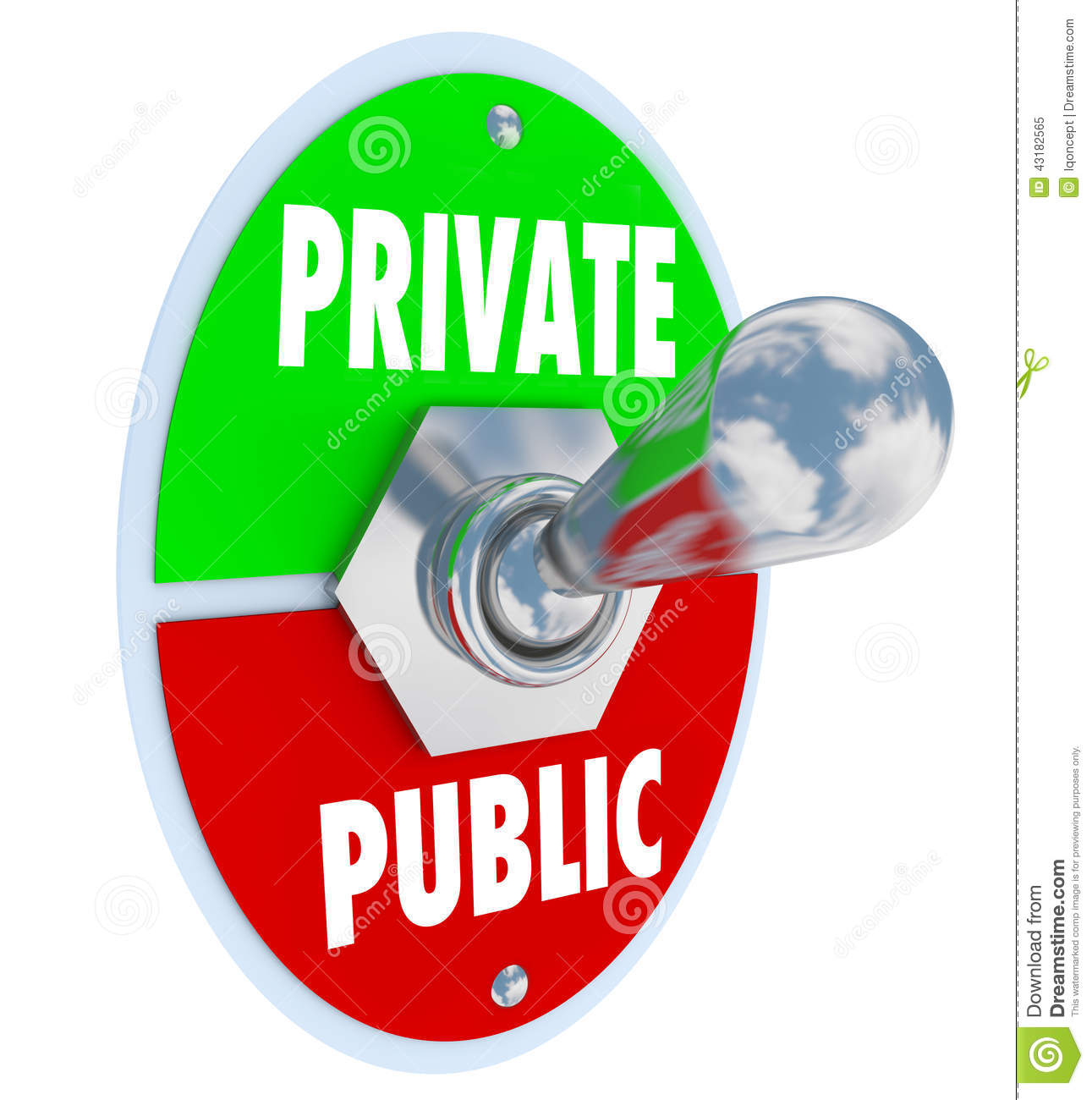 Private vs Non-Private Information Professional Development Flashcard ...