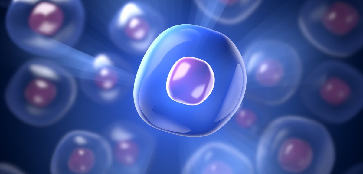 Kingdoms and Domains 7th Grade Flashcard | Quizizz